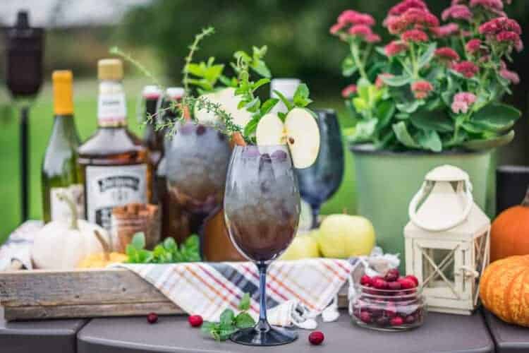 Fall Cider Ginger Fizz Brandy Cocktail – Health Starts in the Kitchen