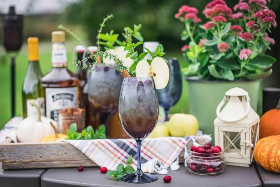 Fall Cider Ginger Fizz Brandy Cocktail – Health Starts in the Kitchen