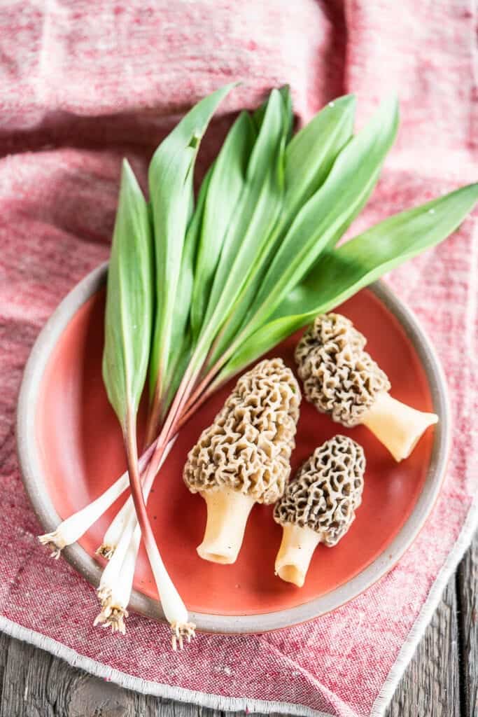 Morel Ramp Potato Chowder Recipe – Health Starts in the Kitchen