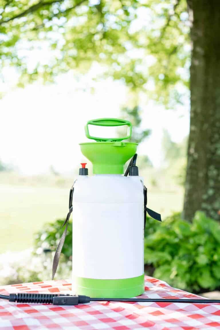 Homemade Natural Non Toxic Weed Killer (Easy DIY Recipe That Really ...