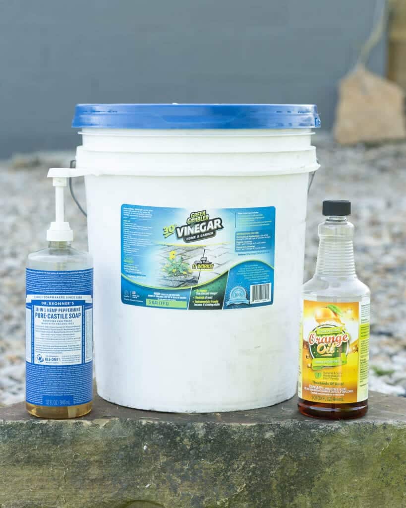 Homemade Natural Non Toxic Weed Killer (Easy DIY Recipe That Really ...