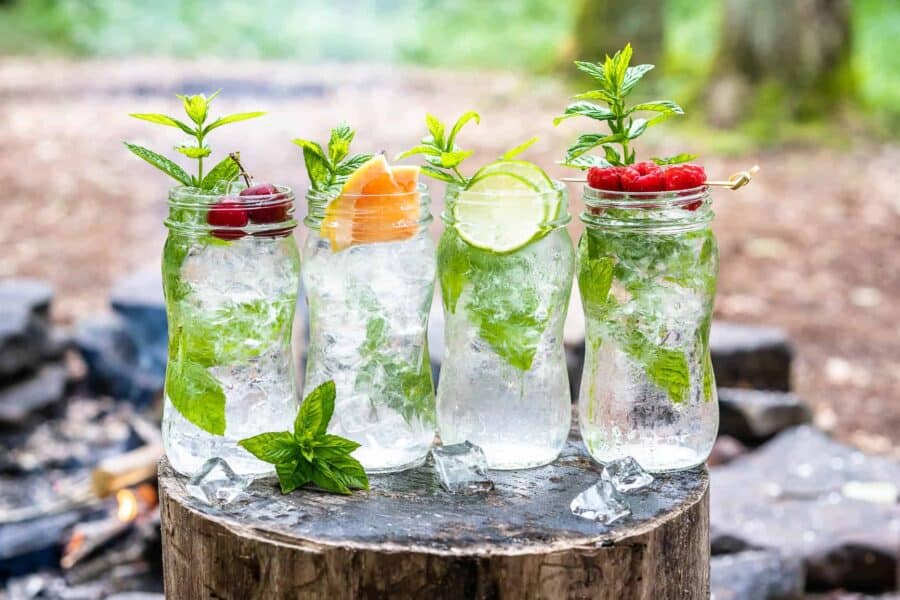 Homemade Sparkling Mineral Water – Health Starts in the Kitchen