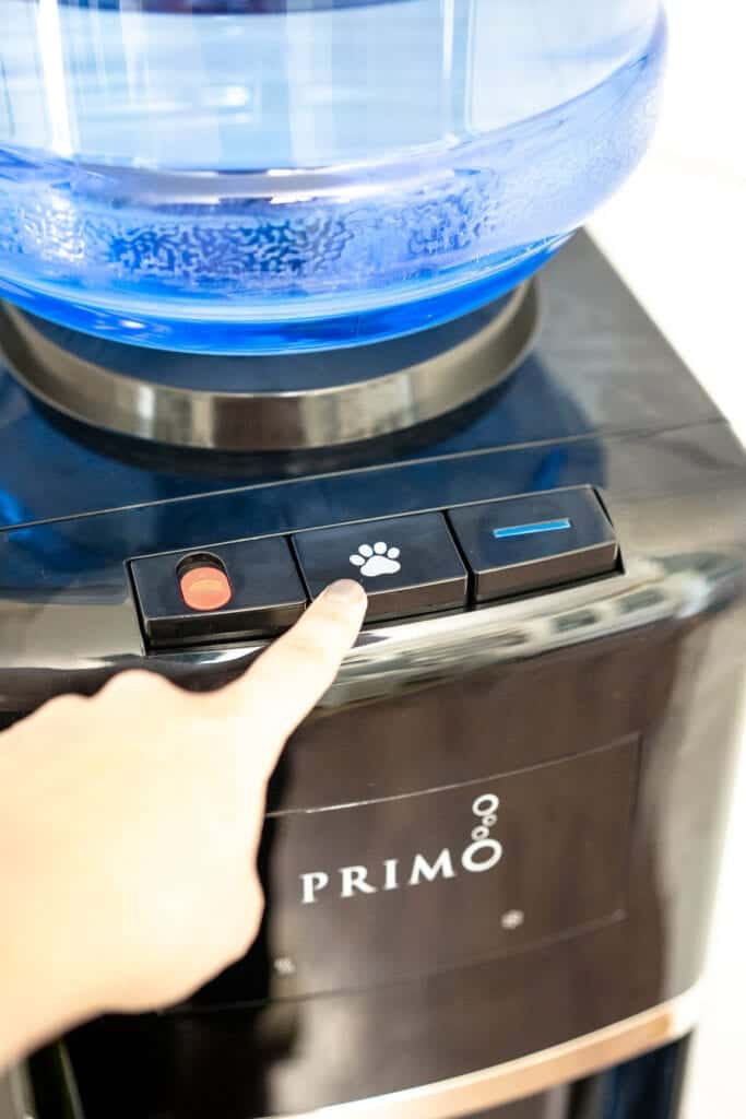 What is the Best Water for Dogs? – Health Starts in the Kitchen