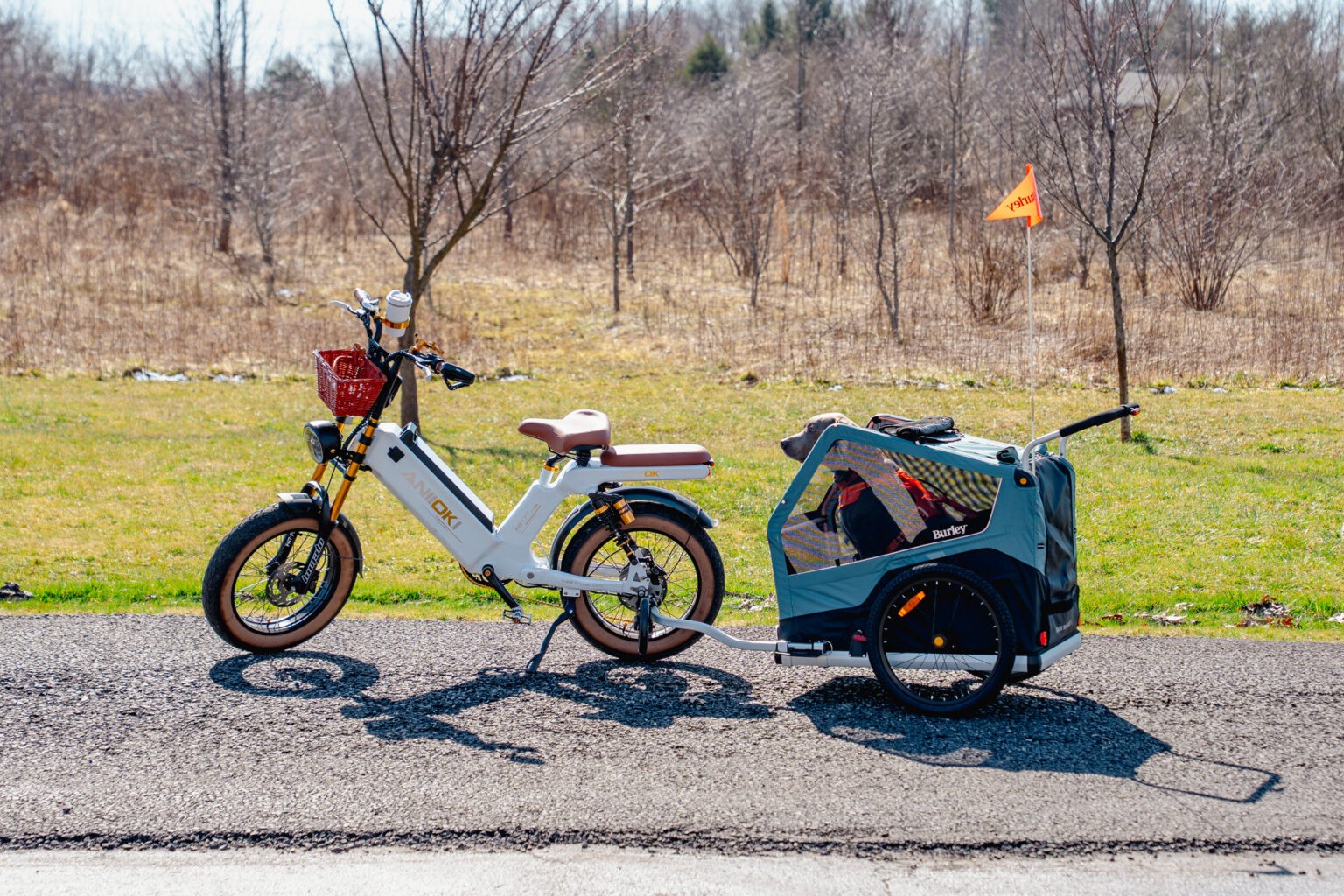 The Best Dog Bike Trailer for Exploring the Great Outdoors