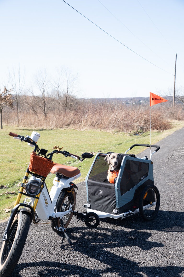 The Best Dog Bike Trailer for Exploring the Great Outdoors