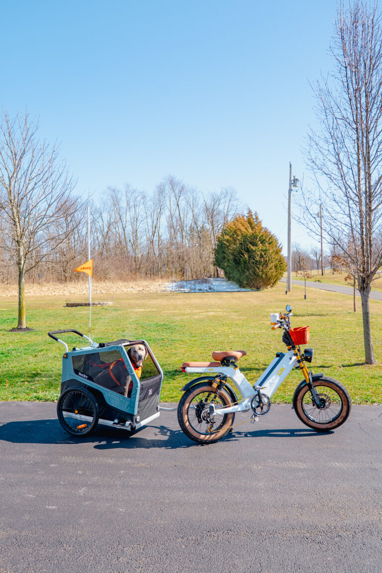 The Best Dog Bike Trailer for Exploring the Great Outdoors
