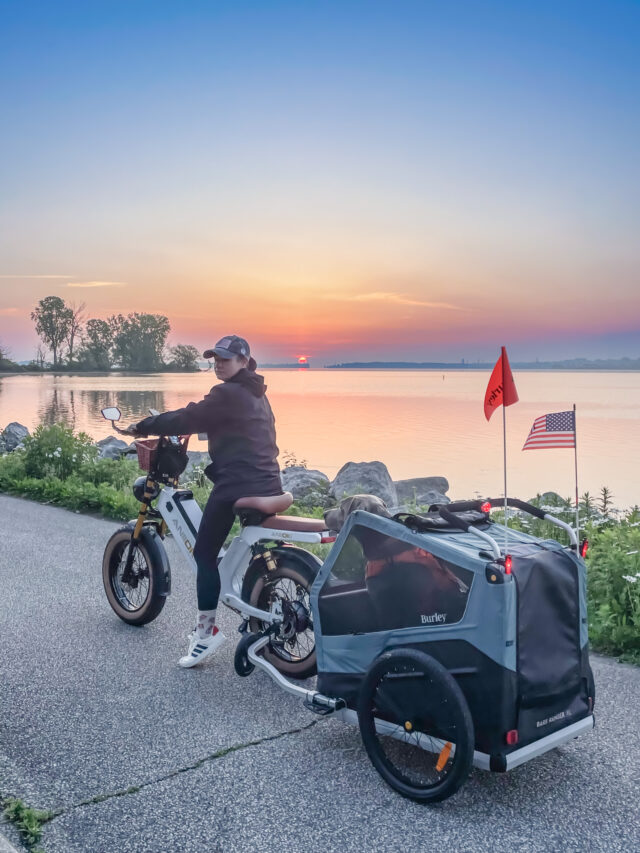 The Best Dog Bike Trailer for Exploring the Great Outdoors