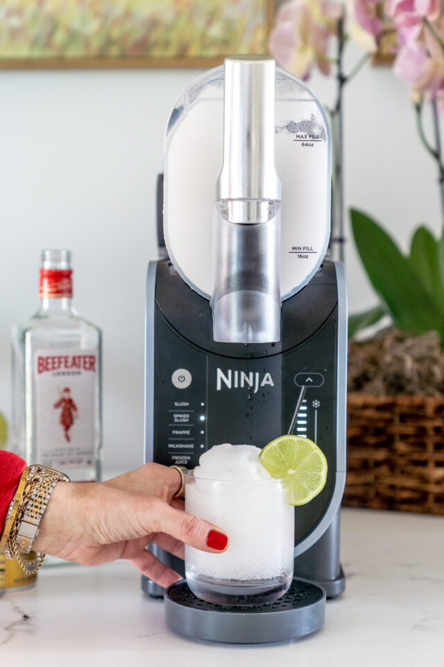 Frozen Gin and Tonic Recipe: Best Gin for a Gin and Tonic